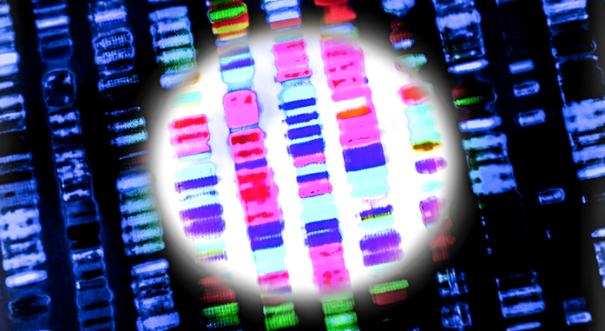 Public Health Professor Michael Dulin on the Emerging Importance of ...